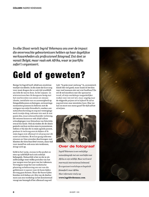 Shoot 101 - digitale versie - Blue Pixl Media Shop